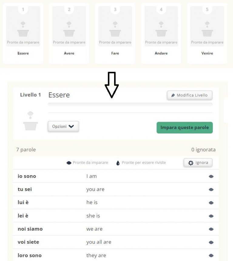Italian Conjugation Practice Made Easy – Our Favorite Tips & Tricks