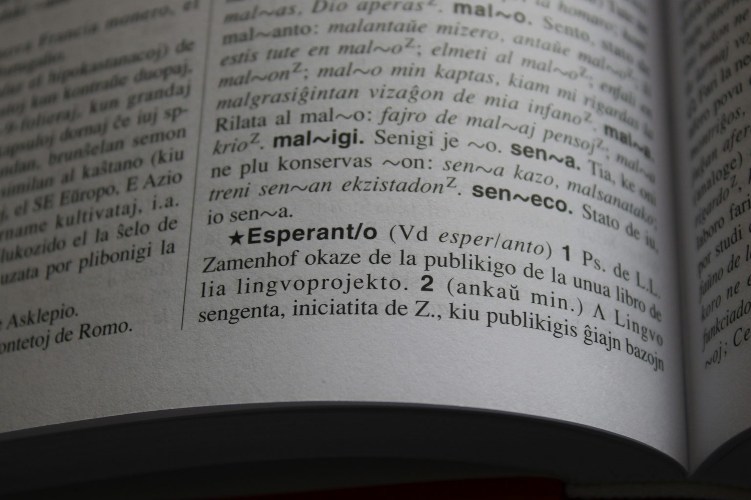 Duolingo Intermediate Esperanto: A Practical Guide to Reaching ...