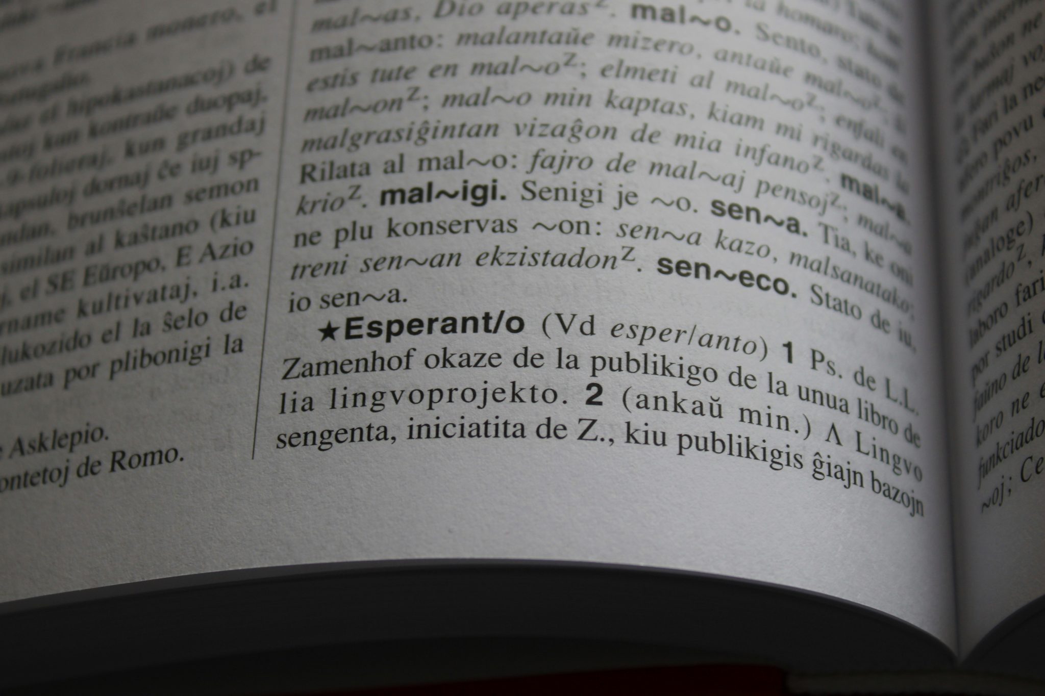 Duolingo Intermediate Esperanto: A Practical Guide to Reaching ...